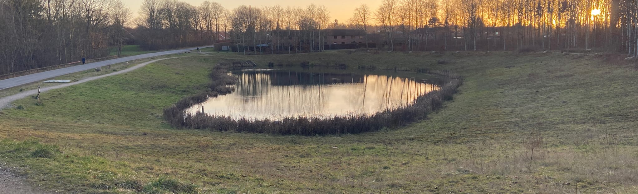 Vilhelmsborg Skov - Skalbjerg: 13 Fotos - Region Mitteljütland, Dänemark | Wandern | AllTrails