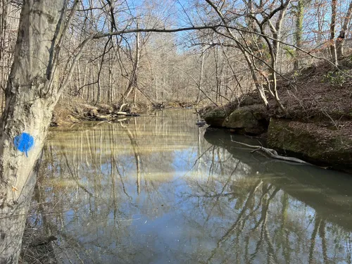 10 Best Hikes and Trails in Duke Forest Korstian Division | AllTrails