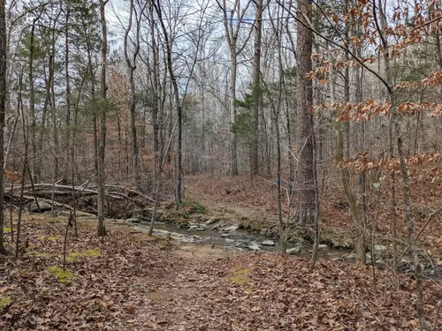 Best Hikes and Trails in Duke Forest Edeburn Division | AllTrails