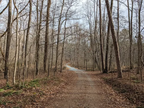 Best Hikes and Trails in Duke Forest Edeburn Division | AllTrails