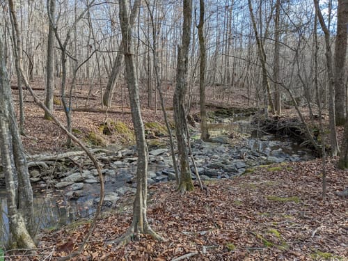 Best Hikes and Trails in Duke Forest Edeburn Division | AllTrails