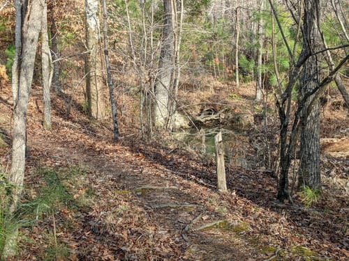 Best Hikes and Trails in Duke Forest Edeburn Division | AllTrails