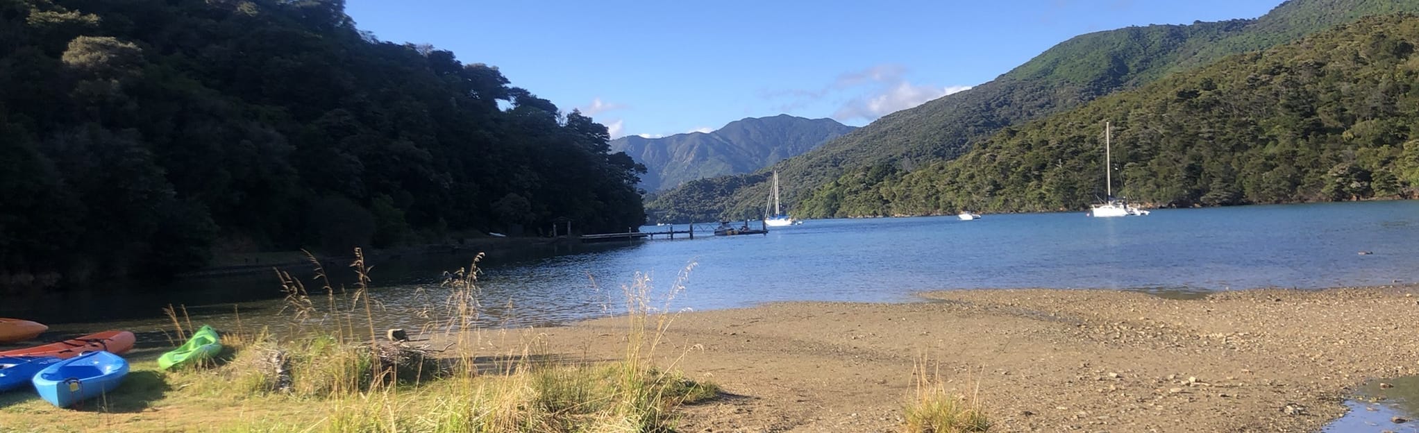 Mistletoe Bay Peninsula Walk, Marlborough, New Zealand - 15 Reviews ...