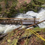 Thetis Lake Extended Loop, British Columbia, Canada - 192 Reviews, Map ...