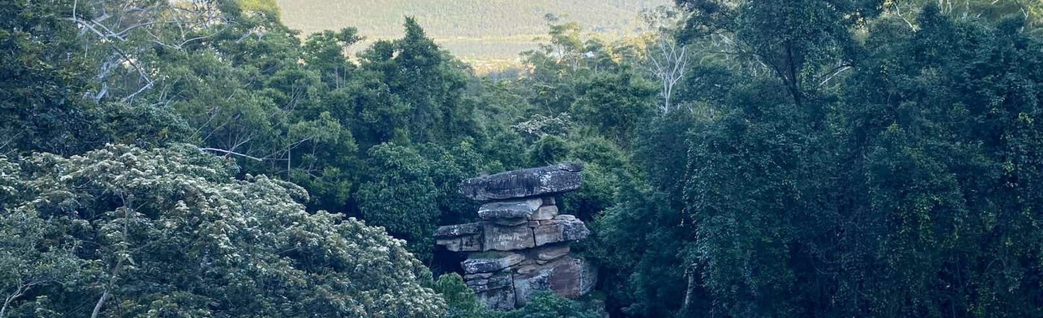Maclean Lookout via Pinnacle Rocks, New South Wales, Australia - 6 ...