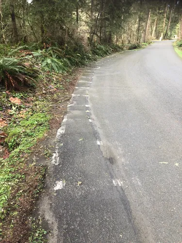 Best Hikes and Trails in Northwest Trek Wildlife Park | AllTrails