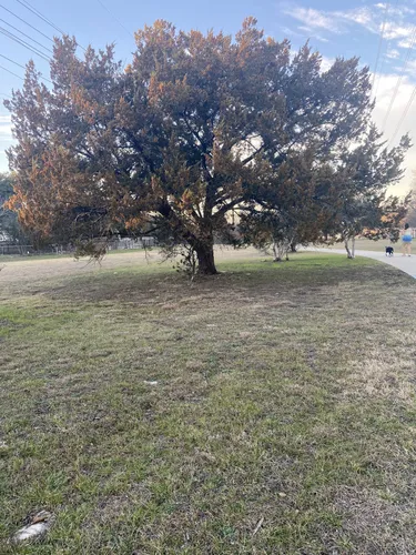 10 Best Trails and Hikes in Round Rock | AllTrails