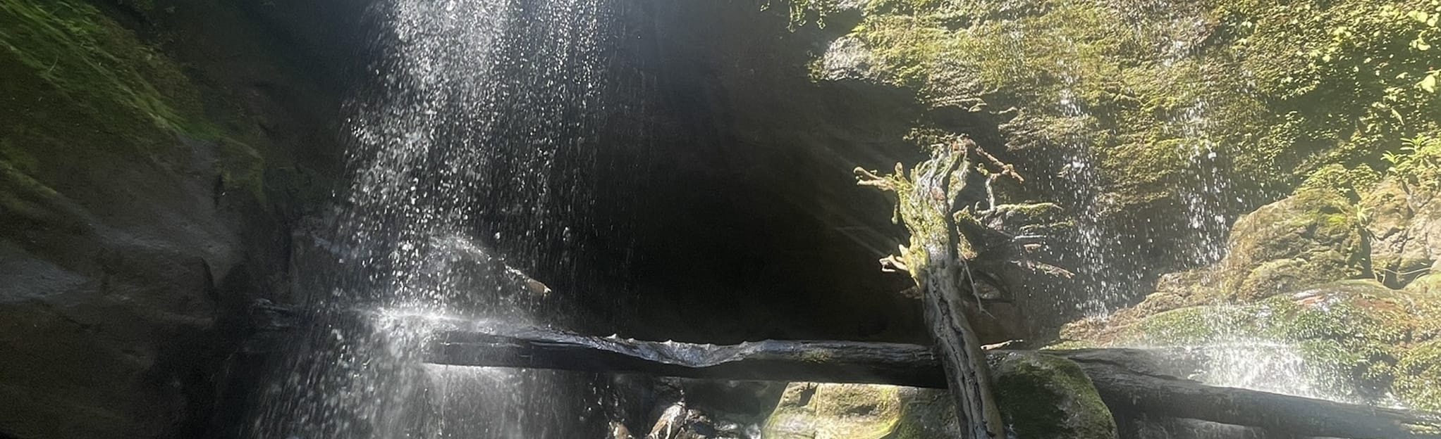 Volio Waterfalls: 19 Reviews, Map - Limón, Costa Rica | AllTrails