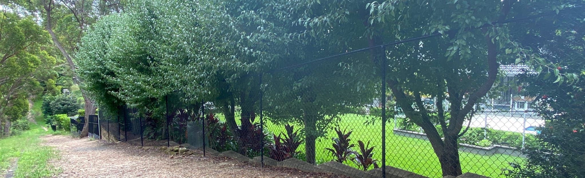 Burraga Track, New South Wales, Australia - 193 Reviews, Map | AllTrails