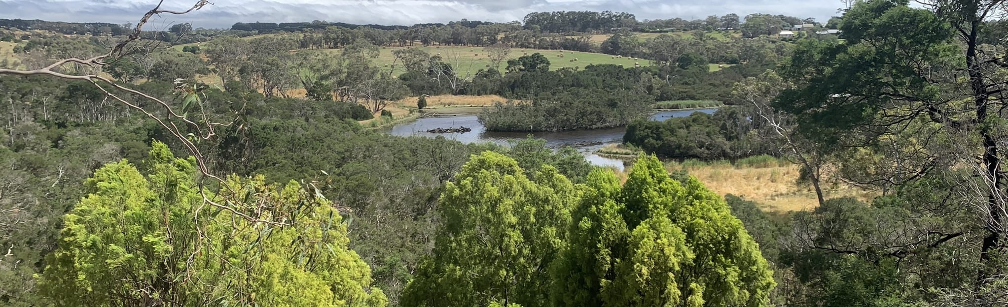 Balcombe Reserve and Ker-Bur-Rer Walk: 164 Fotos - Victoria, Australien ...