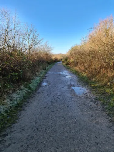 Best Hikes and Trails in Parc Slip Nature Reserve | AllTrails