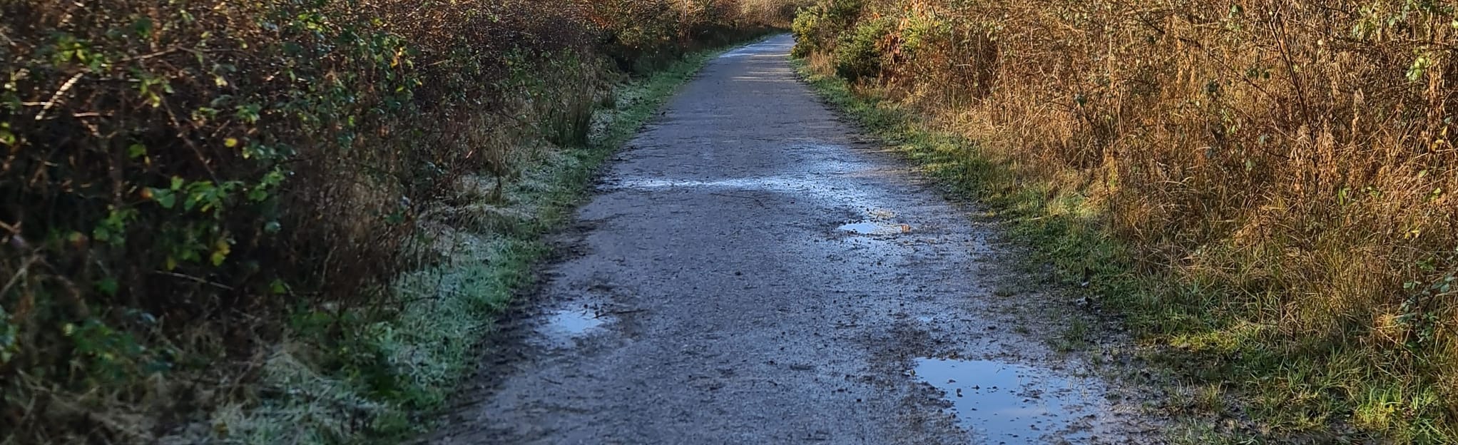 Parc Slip Lakes: 12 Reviews, Map - Bridgend, Wales | AllTrails