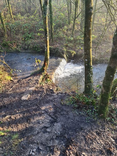 Best Hikes and Trails in Parc Slip Nature Reserve | AllTrails