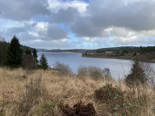 10 Best Walking Trails in Kielder Forest | AllTrails