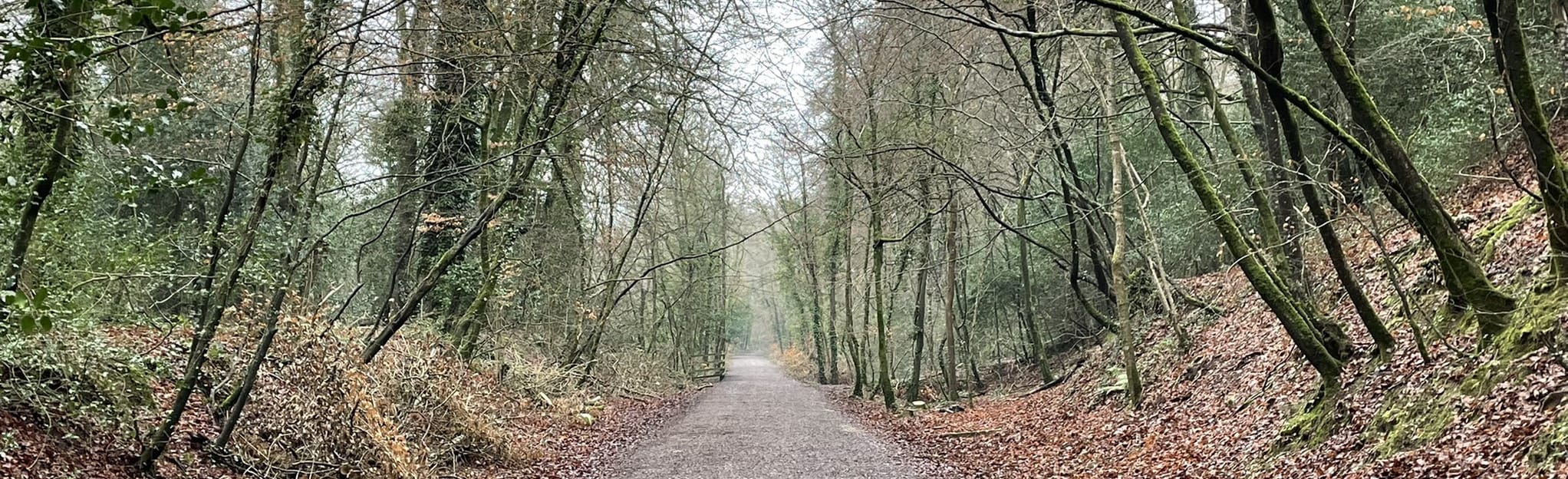 Wray Valley Trail: Bovey Tracey to Moretonhampstead - Devon, England ...