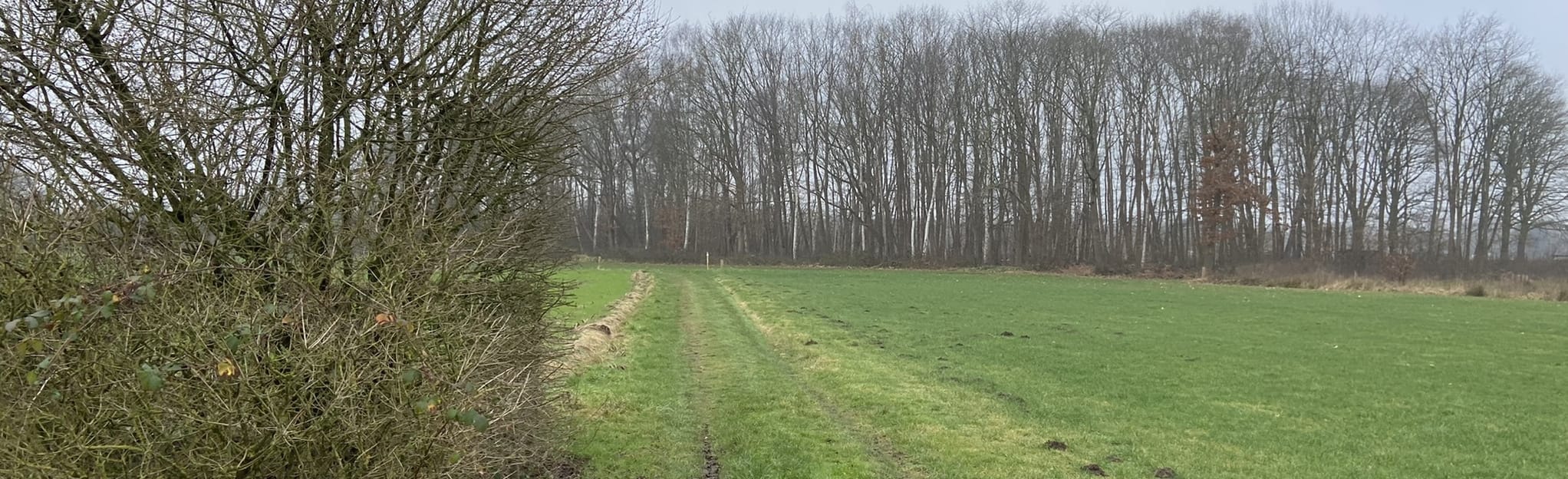 De Keer, Antwerp, Belgium - 5 Reviews, Map | AllTrails