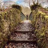 Romaldkirk Circular, County Durham, England - 91 Reviews, Map | AllTrails