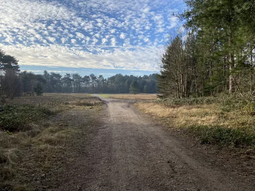 Best Hikes and Trails in Ainsdale Sand Dunes Nature Reserve | AllTrails