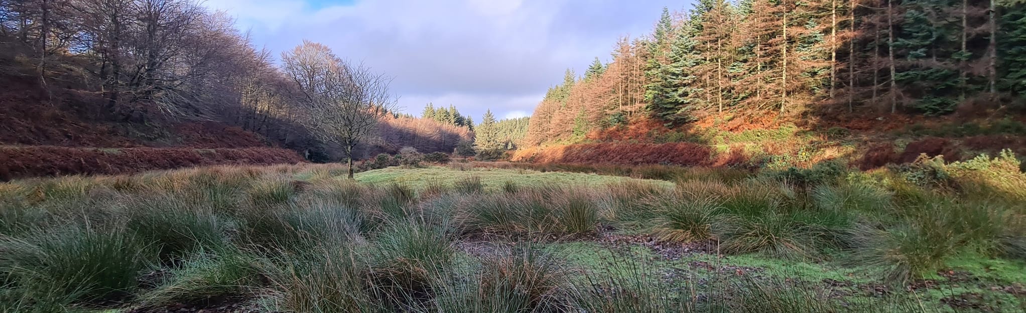 Powerscourt Waterfall and Maulin Loop : 1 289 photos - Comté de Wicklow ...