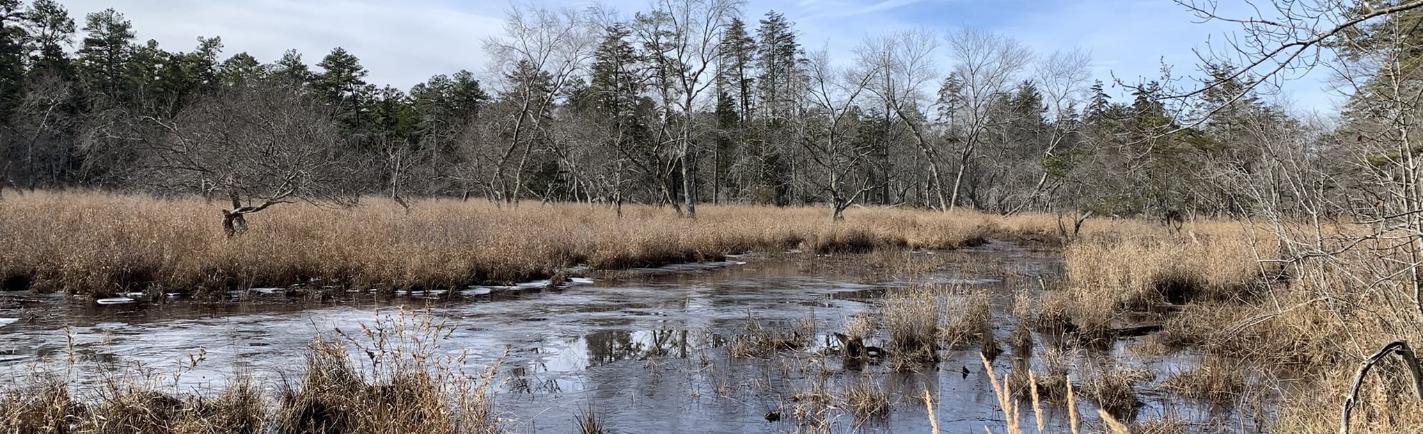 Mullica River and Batona Trail Loop | Mapa, Roteiro - New Jersey ...