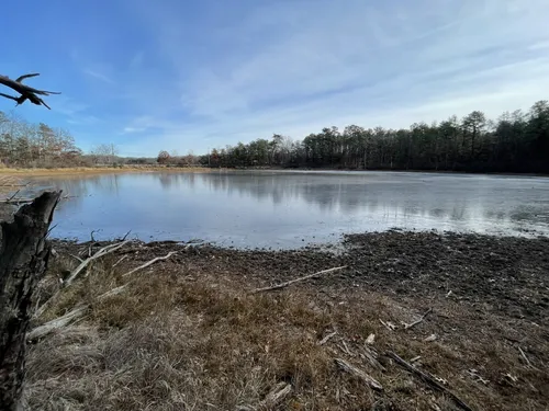 Best Hikes and Trails in Brookhaven State Park | AllTrails