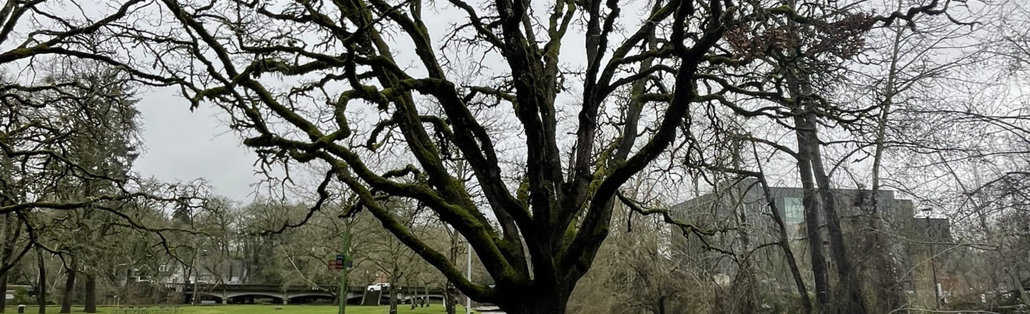 Pringle City Park, Oregon - 23 Reviews, Map | AllTrails