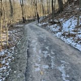 Morrison Valley Trail, Ontario, Canada - 395 Reviews, Map | AllTrails