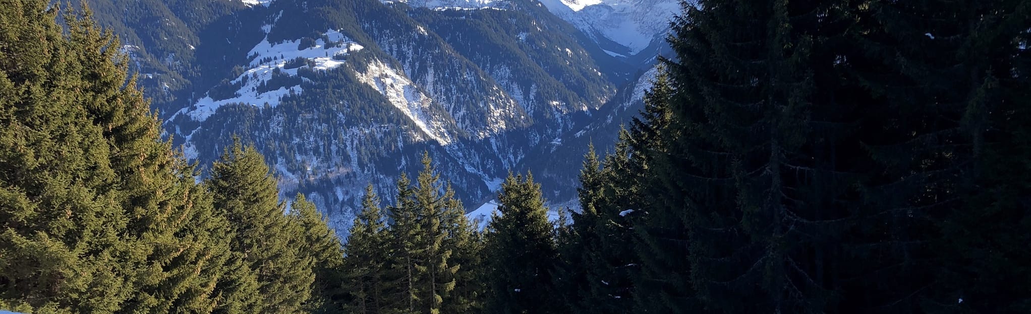 Sogn Benedetg - Alp Crap Ner, Graubünden, Switzerland - Map, Guide ...