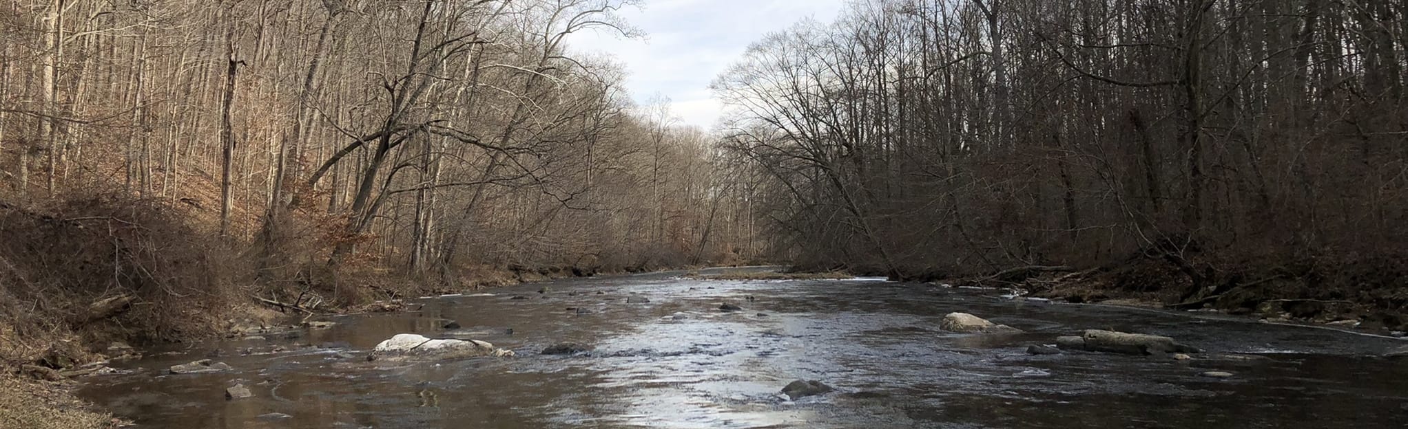 Hornbeam, Iron Works, and Flint Mill Trail Loop: 848 Reviews, Map ...