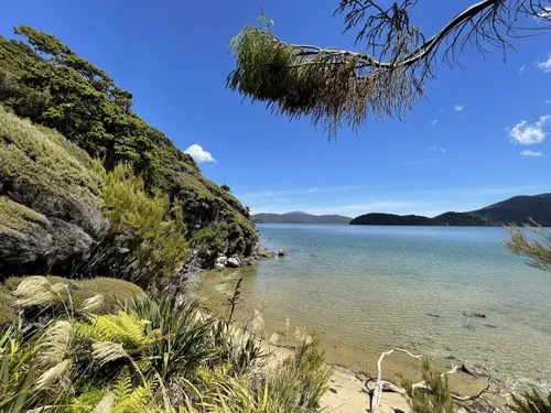 10 Best Trails and Hikes in Stewart Island | AllTrails