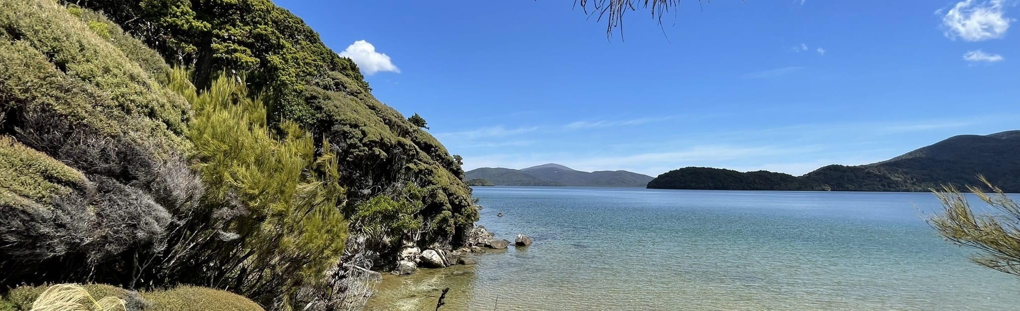 North Arm Hut to Halfmoon Bay, Southland, New Zealand - 42 Reviews, Map ...