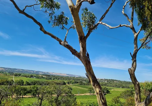 Best Long Trails in Onkaparinga River National Park | AllTrails