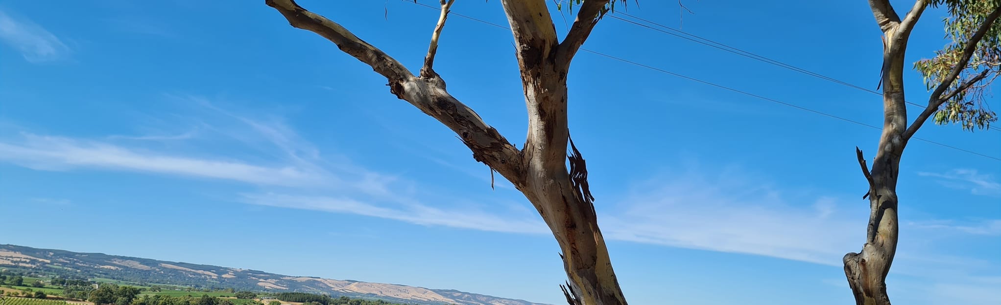 Willunga Basin Trail: McLaren Vale to Onkaparinga River National Park ...