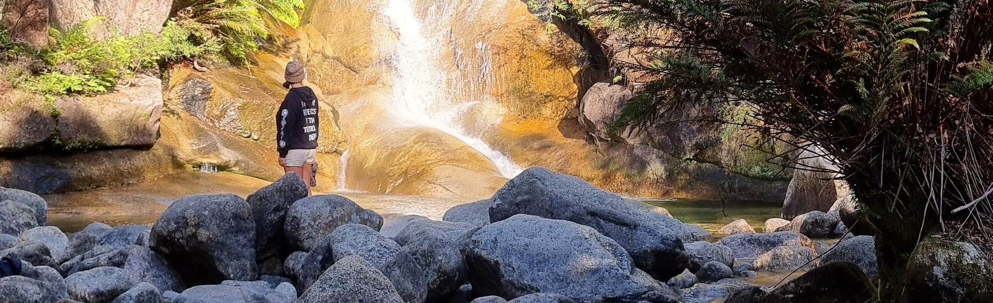 Eurobin Falls Walk: 115 Reviews, Map - Victoria, Australia | AllTrails