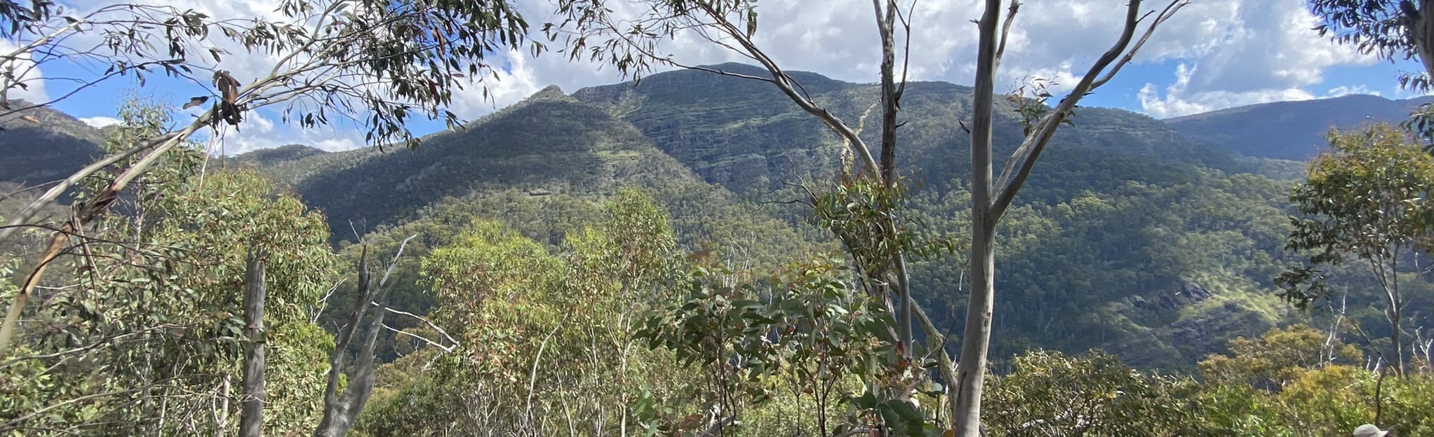 Mount Howitt and Macalister Springs Circuit, Victoria, Australia - 18 ...