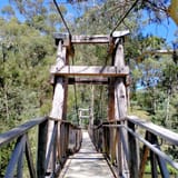 Warburton River Walk, Victoria, Australia - 168 Reviews, Map | AllTrails