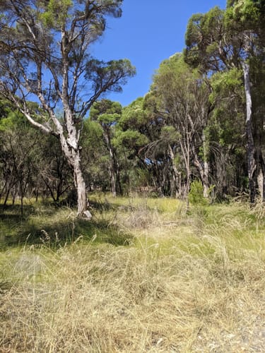 Best Hikes and Trails in Beeliar Regional Park | AllTrails