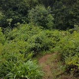 Magoebaskloof Waterfall Walk, Limpopo, South Africa - 7 Reviews, Map ...