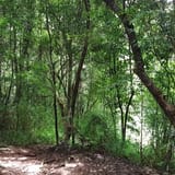 Magoebaskloof Waterfall Walk, Limpopo, South Africa - 7 Reviews, Map ...