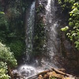 Magoebaskloof Waterfall Walk, Limpopo, South Africa - 7 Reviews, Map ...
