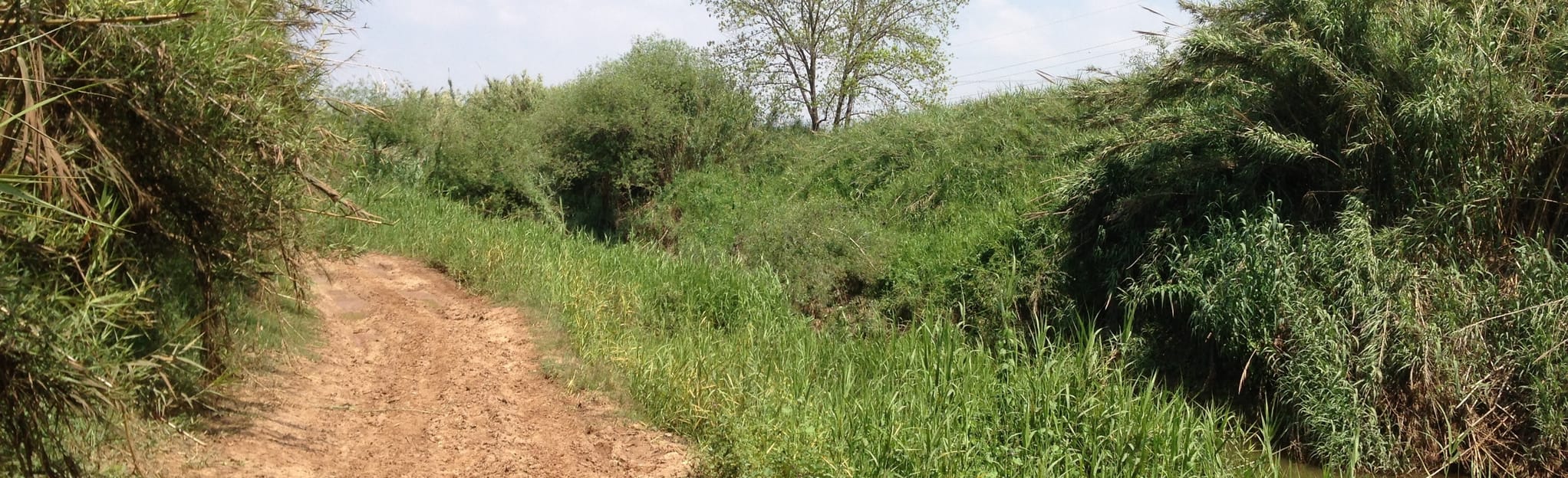 Hod HaSharon Eco Park, Yarkon Stream and Forest Loop, Central District ...