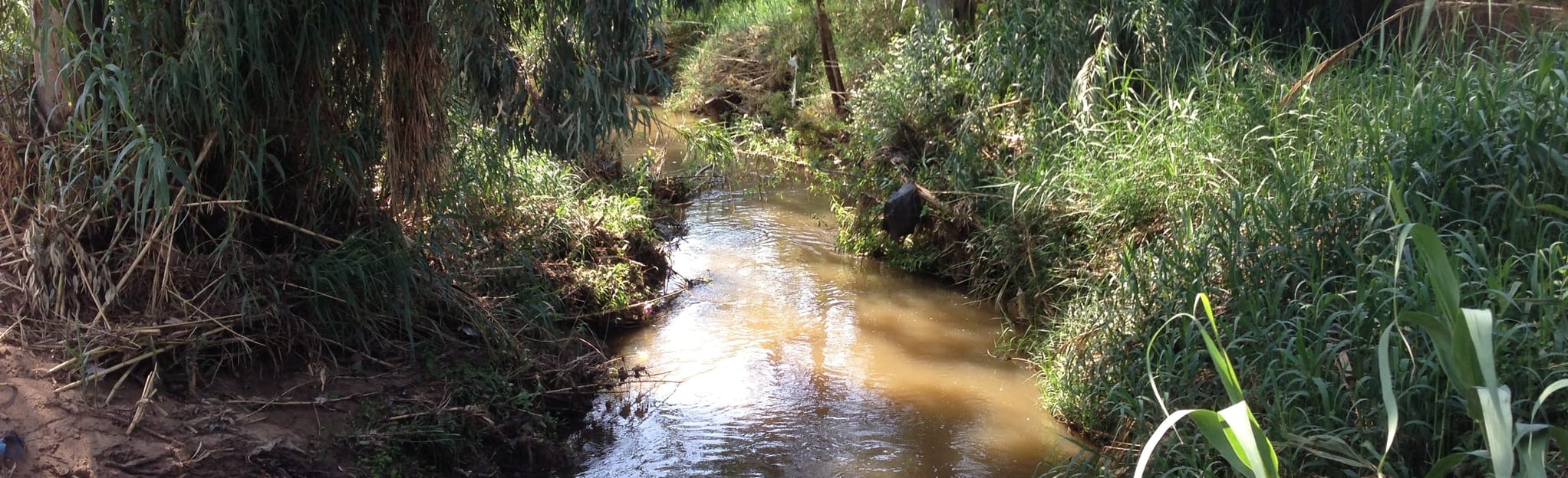 Hod HaSharon Landfill Hill to Abu Rabah via Hidden Waterfall: 0 Reviews ...