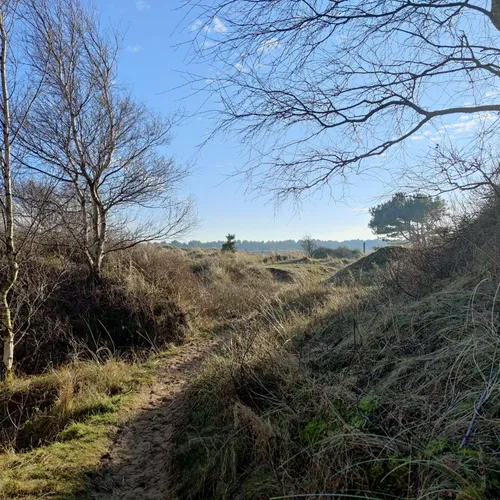 Best Beach Trails in Ainsdale Sand Dunes Nature Reserve | AllTrails