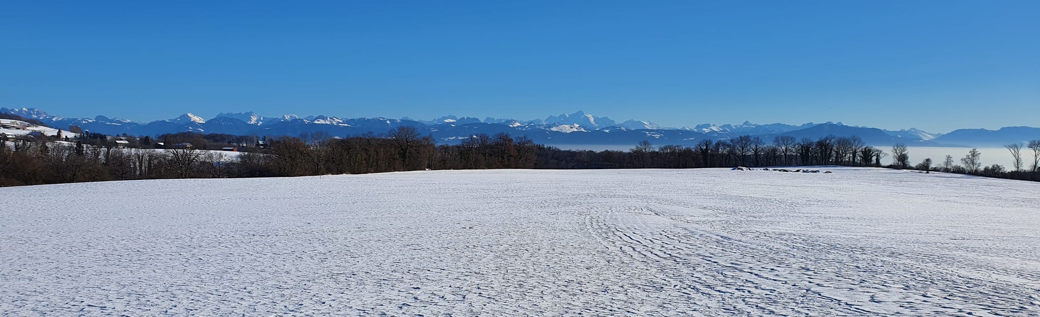 Le Vaud Circuit, Vaud, Switzerland - 4 Reviews, Map | AllTrails