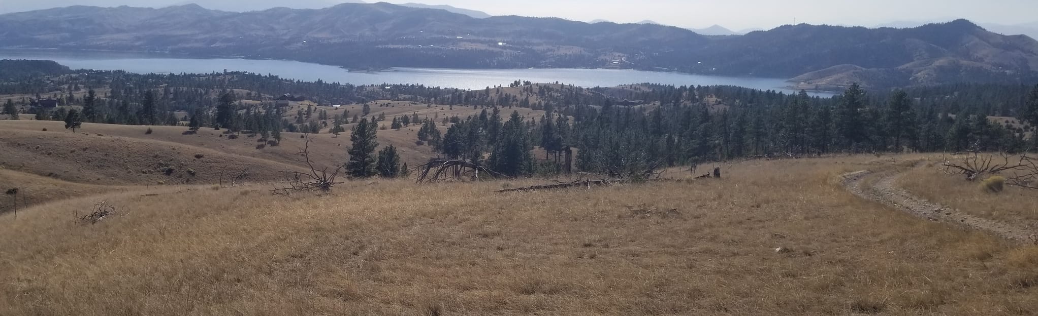 Hedges Mountain via Cave Gulch: 18 Reviews, Map - Montana | AllTrails
