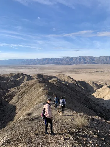 Los 10 mejores senderos y rutas en Mexicali | AllTrails