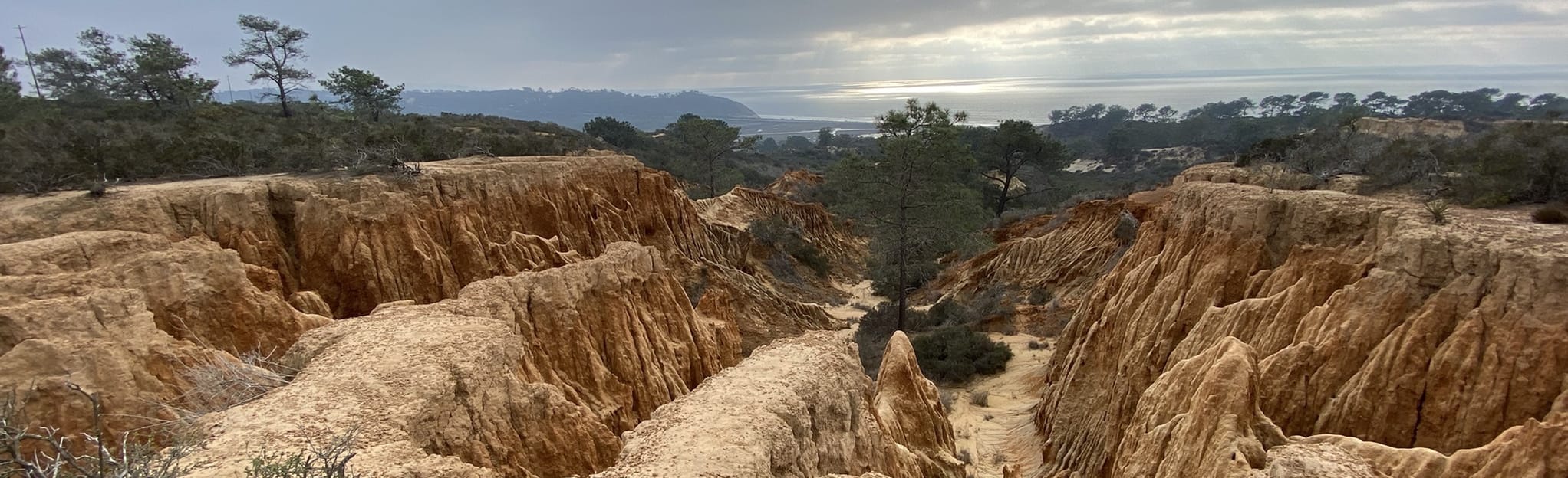 Red Ridge Trail, California - 59 Reviews, Map | AllTrails