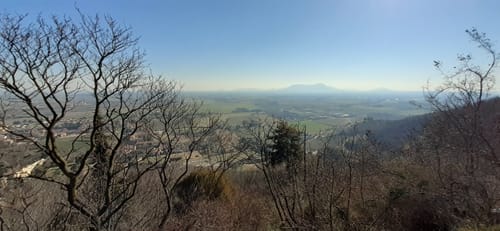 2023 Best Forest Trails in Longare | AllTrails