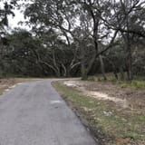 Coastal Anclote Trail, Florida - 192 Reviews, Map | AllTrails