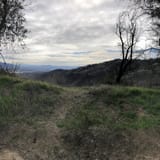 Newhall Pass: Weldon Canyon Trail, California - 228 Reviews, Map ...